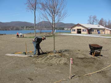 Arbor Day Event Includes Update on LOPA Activities / iBerkshires.com ...