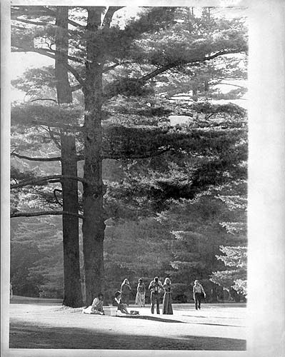 Bill tague - BillTague.com - An interactive tribute to the work of Bill ...