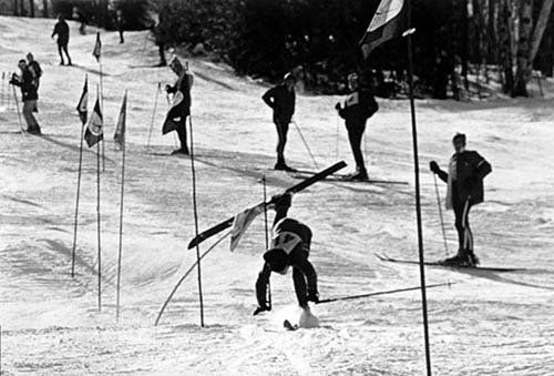 Bill tague - BillTague.com - An interactive tribute to the work of Bill ...