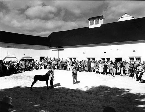 Bill tague - BillTague.com - An interactive tribute to the work of Bill ...