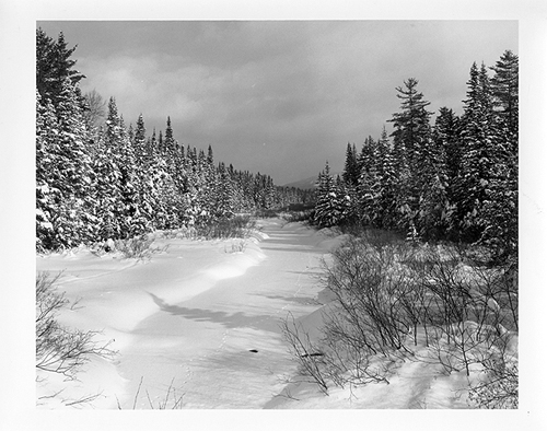 Bill tague - BillTague.com - An interactive tribute to the work of Bill ...