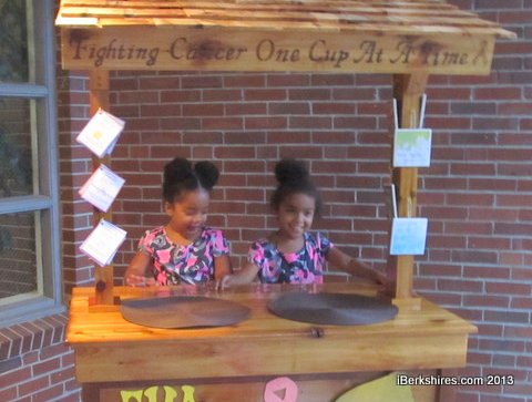 Lemonade Twins Get Handmade Stand to Aid Charity Efforts / iBerkshires ...