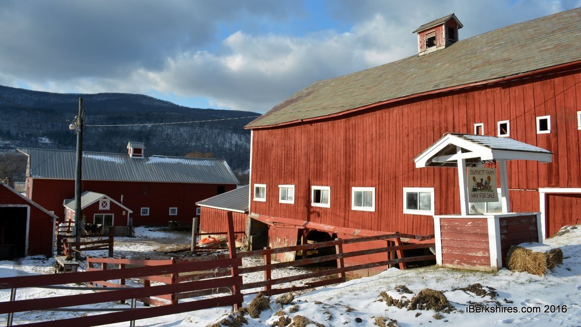 Adams Farm Receiving $50K Grant to Help Expand / iBerkshires.com - The ...