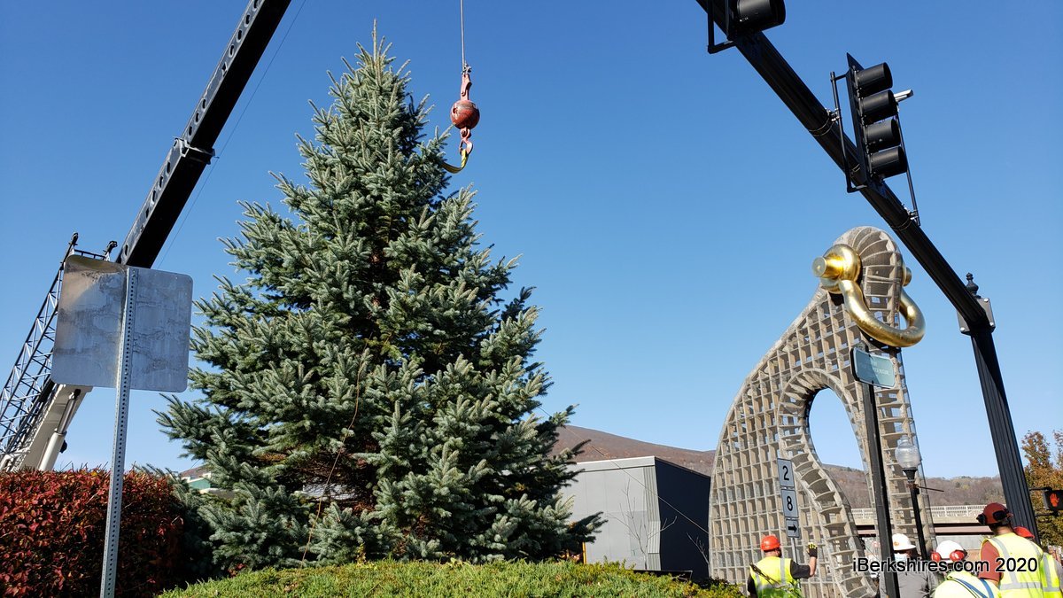 North Adams Installs Christmas Trees for 2020 / iBerkshires.com - The ...