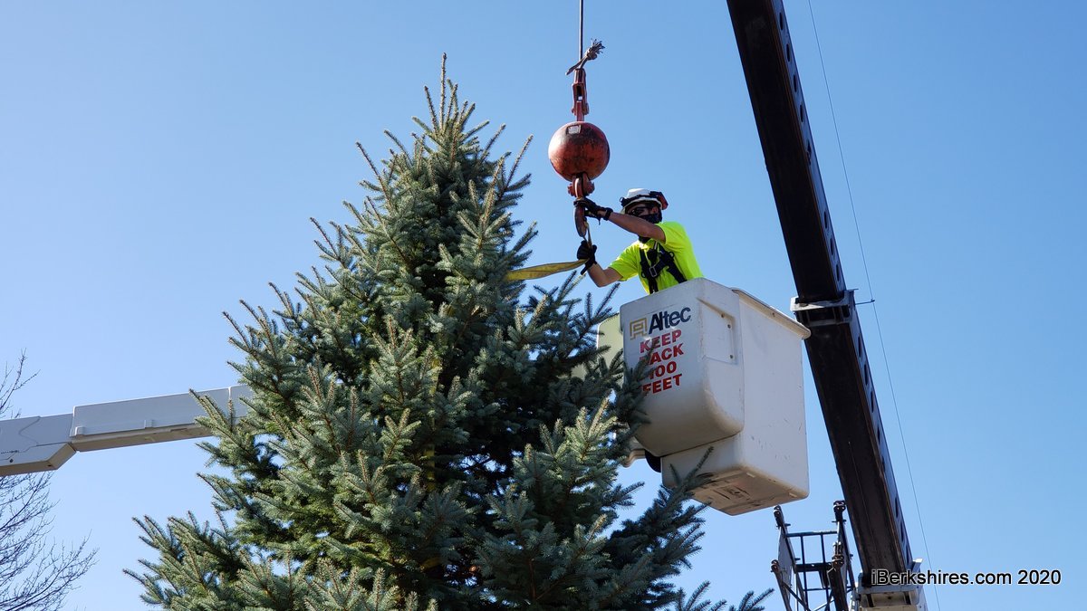 North Adams Installs Christmas Trees for 2020 / iBerkshires.com - The ...