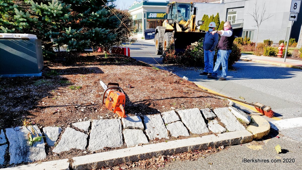 North Adams Installs Christmas Trees for 2020 / iBerkshires.com - The ...